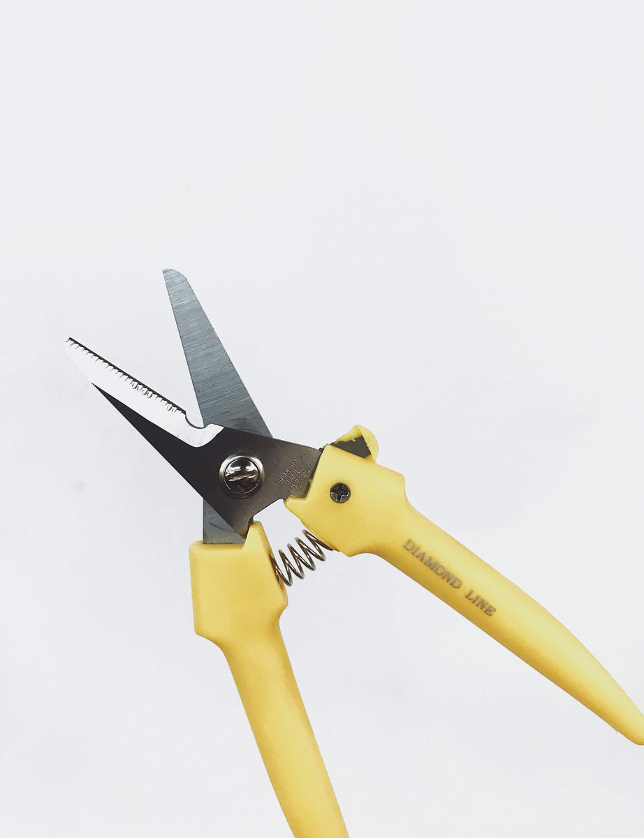 Floral Snips – The Flower Market on 7th