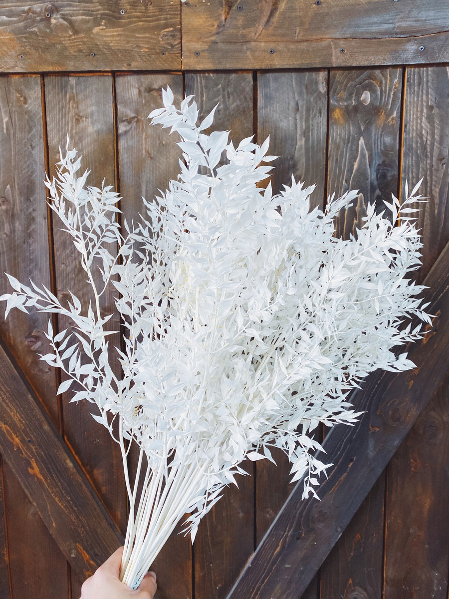 Bleached Ruscus – The Flower Market on 7th